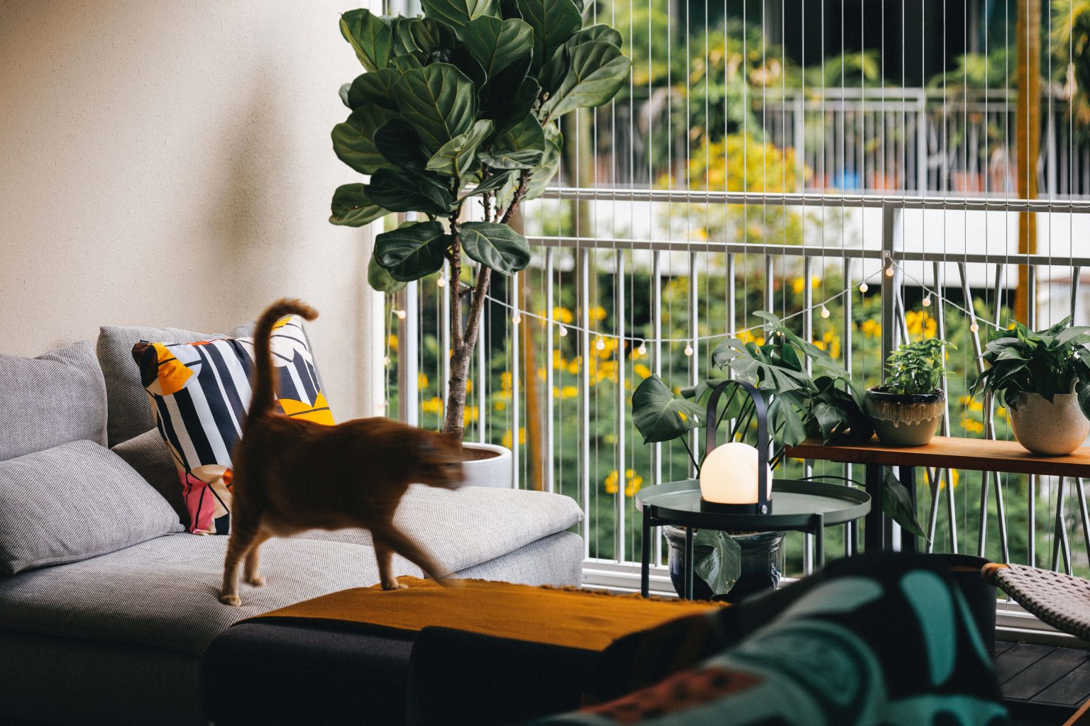 Eclectic Interiors: Personality-Driven Homes That Are Simply One of a ...